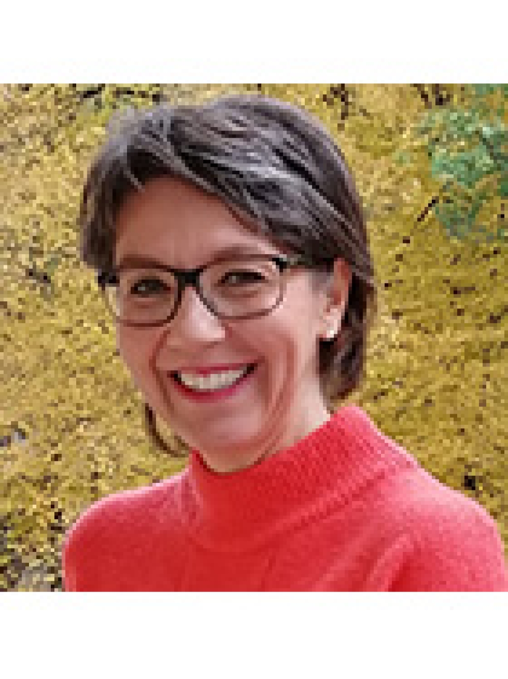 Don Bosco Stiftung - Dachstiftung - Don Bosco